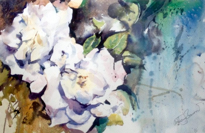 Gallery | Anthony Barrow