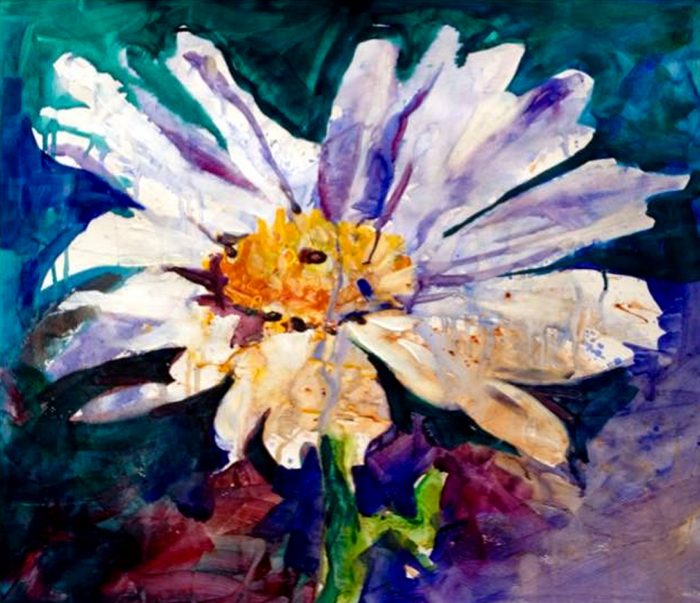 Gallery | Anthony Barrow