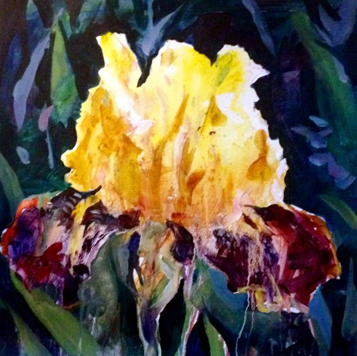 Gallery | Anthony Barrow