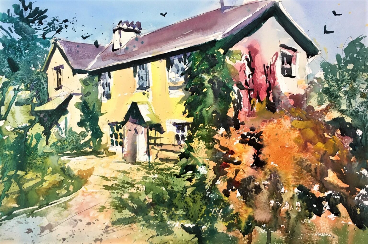 Gallery | Anthony Barrow