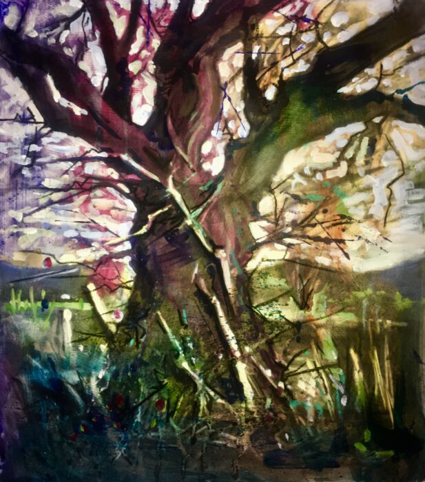 Gallery | Anthony Barrow