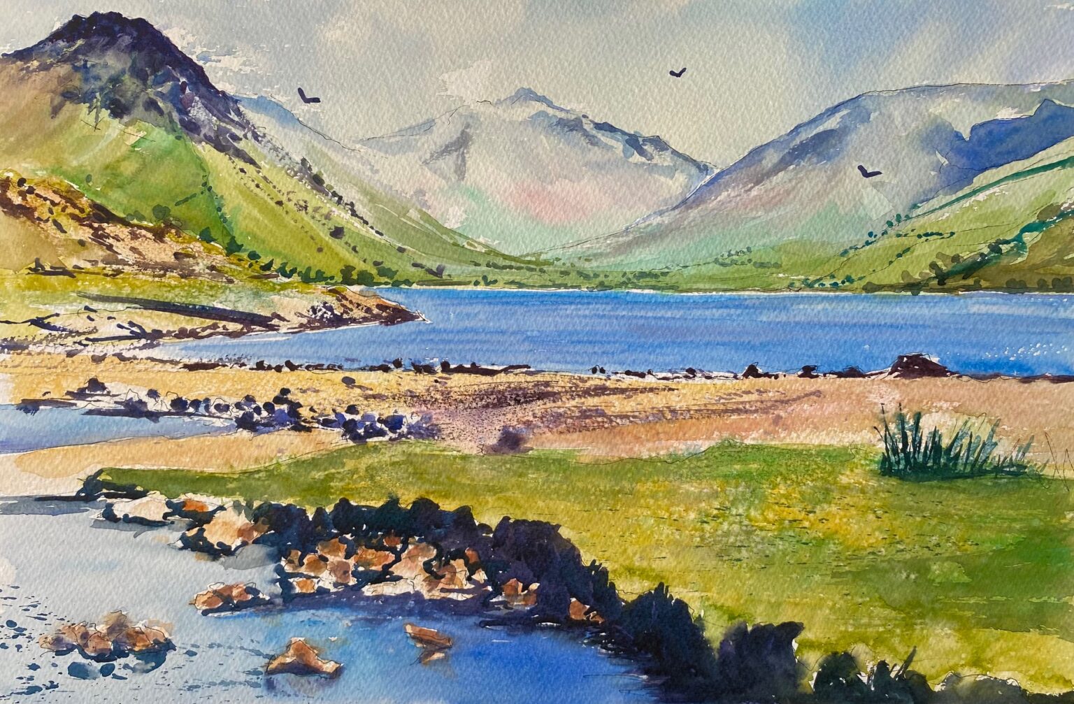 Gallery | Anthony Barrow