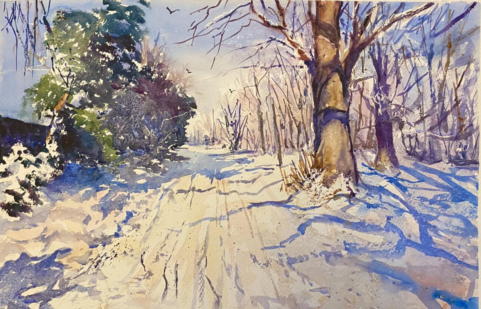 Gallery | Anthony Barrow